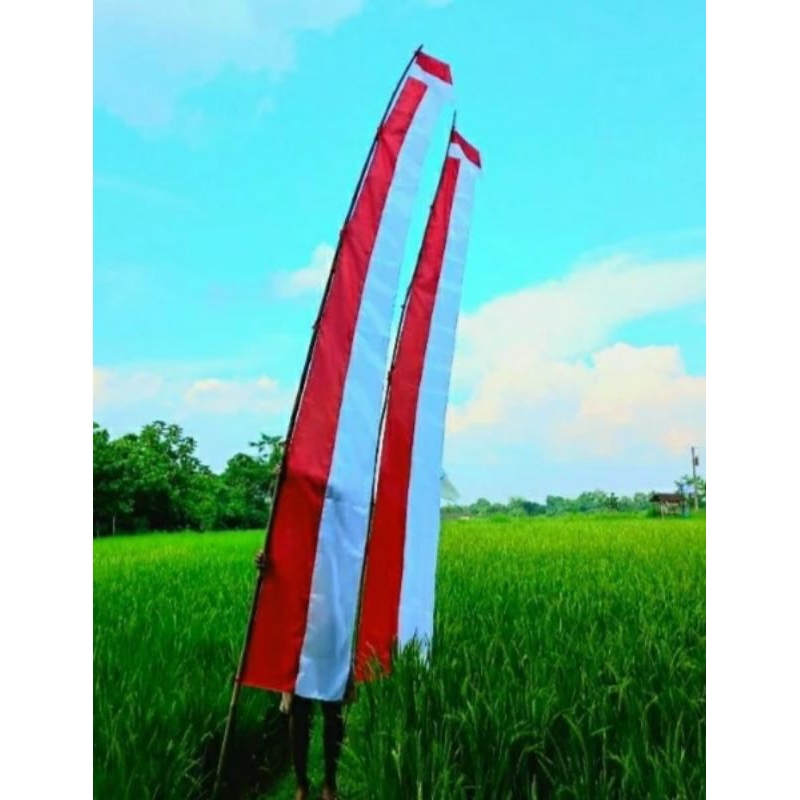 Jual Bendera Umbul Umbul Layur Merah Putih 4 & 5 Meter | Shopee Indonesia
