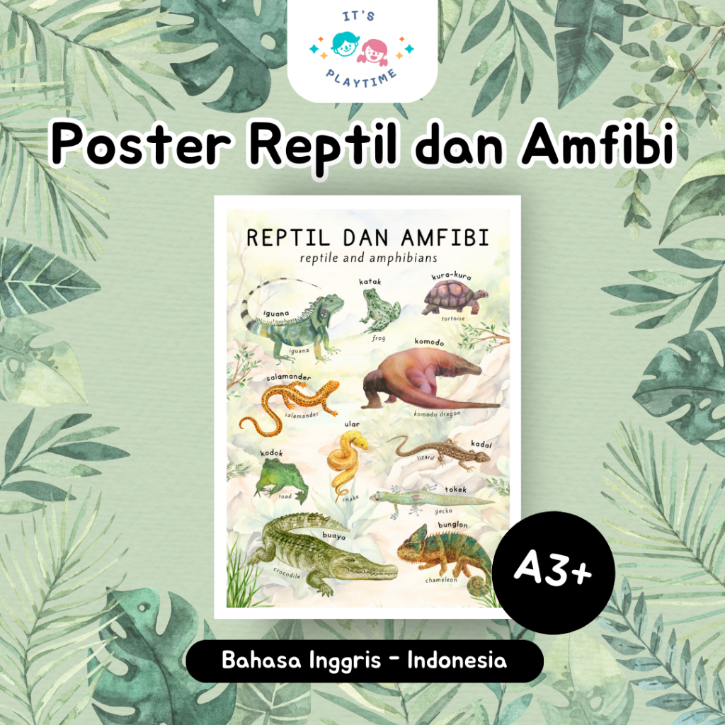 Jual It's Playtime - Poster Edukasi Anak Aesthetic - Tema Hewan Reptil dan Amfibi A3+ 260 gr ...
