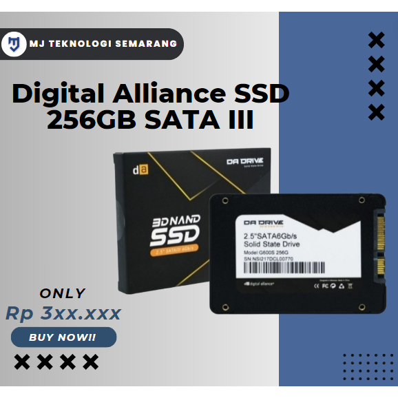 Jual Digital Alliance SSD 256GB SATA III | Shopee Indonesia