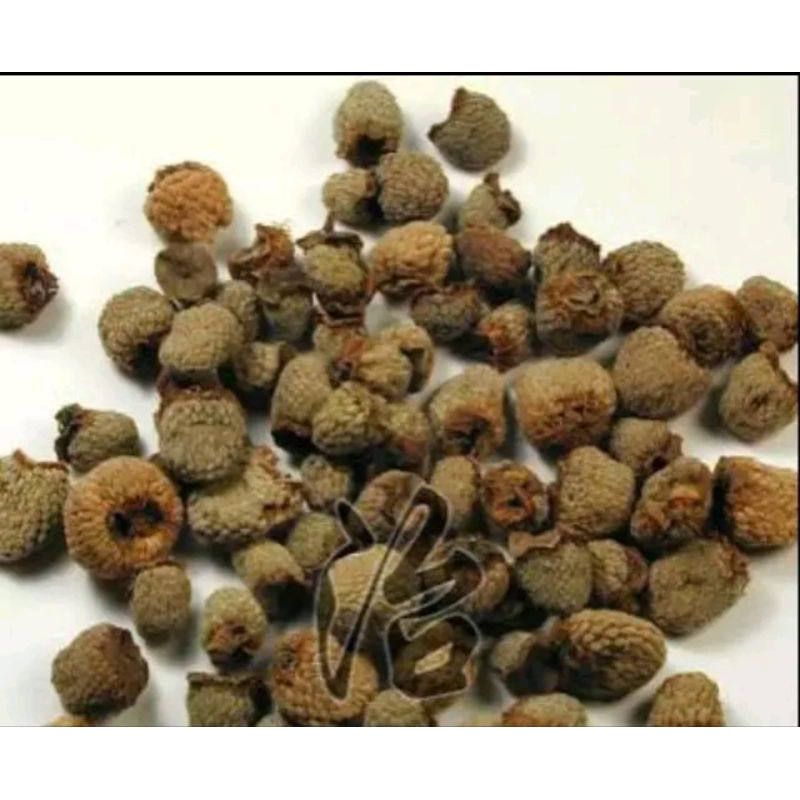 Jual 10 G 50 GR 100 GRAM FU PEN ZI FRUCTUS RUBI CHINESE RASPBERRY ...
