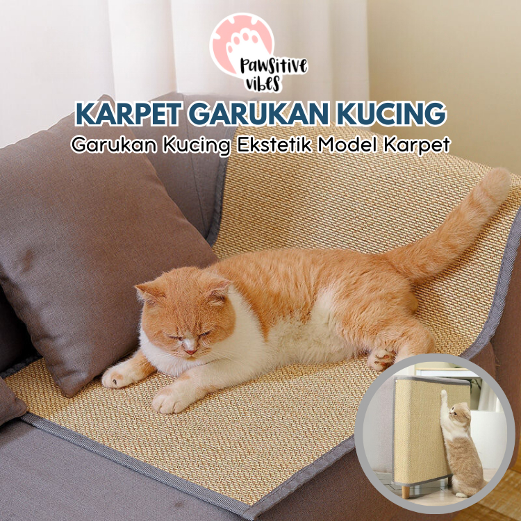 Jual KARPET GARUKAN KUCING ANTI SLIP - Karpet Tahan Terhadap Cakaran ...
