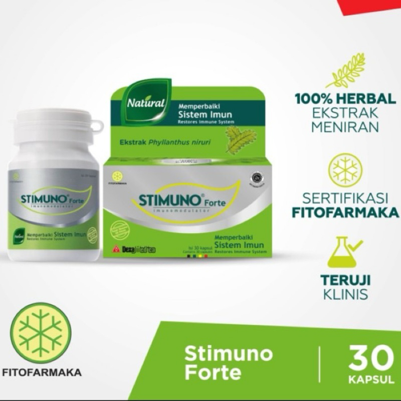 Jual Stimuno Forte Botol 30 Kapsul Imunomodulator Herbal// Stimuno isi ...