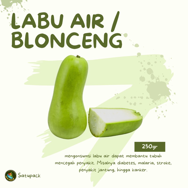 Jual LABU PUTIH / LABU AIR / BLONCENG / LABU KUNDUR | Shopee Indonesia