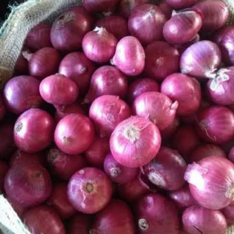 Jual bawang merah India 1kg | Shopee Indonesia