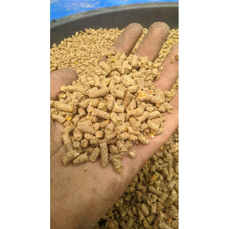 Jual pur ayam,pakan ayam,pur ayam,pakan ayam murah,pur ayam dewasa,pur ...