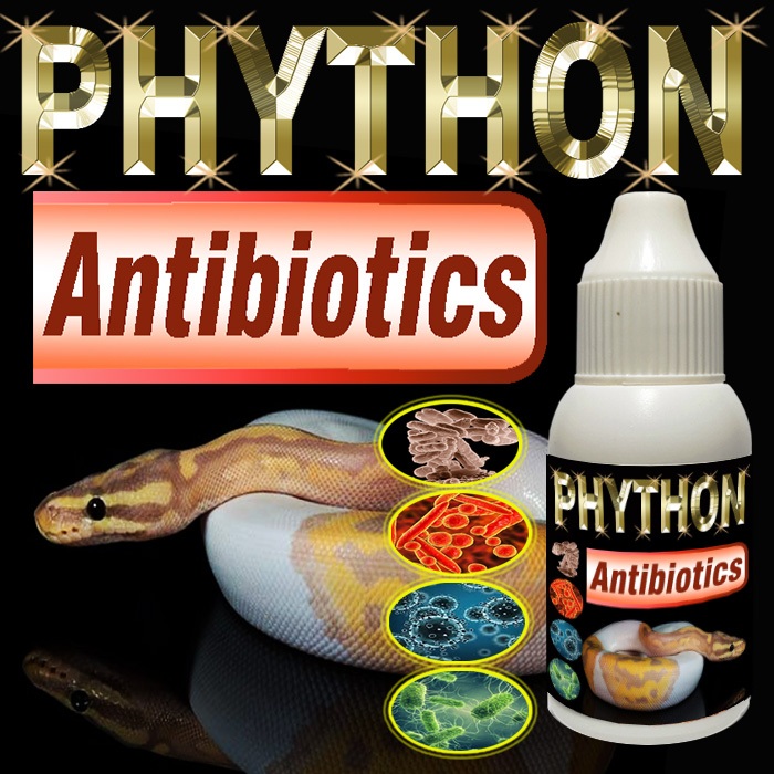 Jual PHYTON ANTIBIOTIK VITAMIN OBAT PNEUMONIA PILEK PENYAKIT PERNAPASAN ...