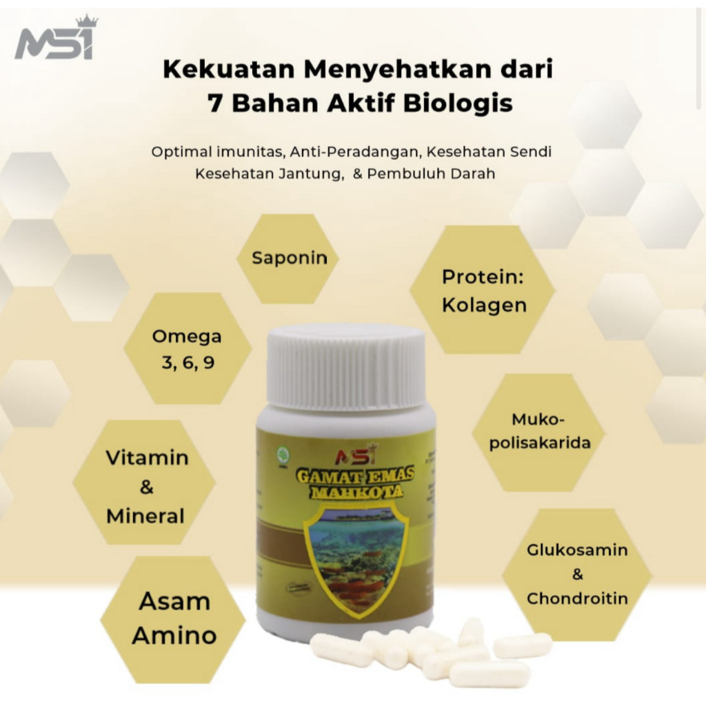 Jual GAMAT MAHKOTA ORIGINAL GAMAT KAPSUL ASLI 100% | Shopee Indonesia