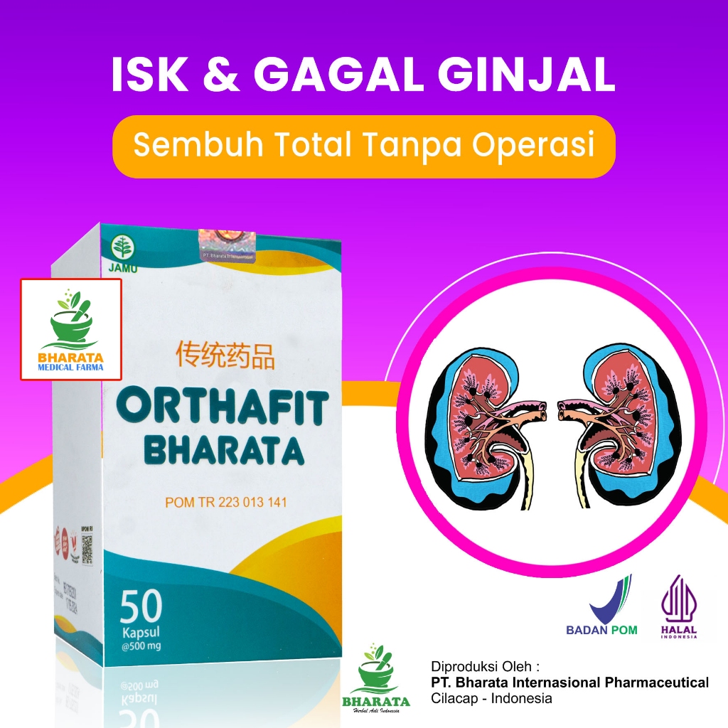 Jual Obat Herbal ISK (Infeksi Saluran Kemih) Pria & Wanita - Gagal Ginjal - Orthafit Bharata ...
