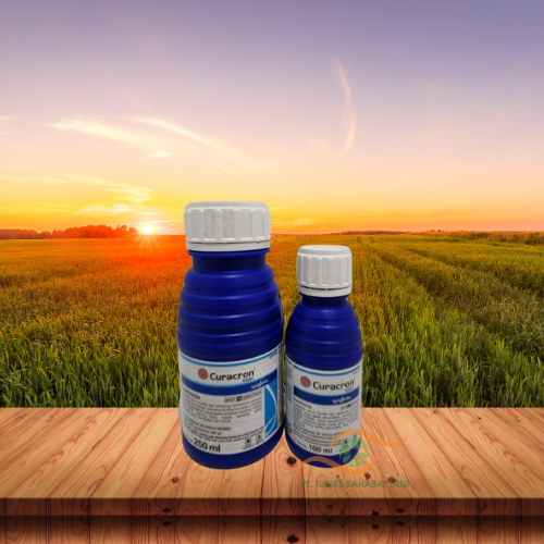 Jual CURACRON INSEKTISIDA CURACORN 500EC Kemasan 100 ML/250 ML Kutu ...
