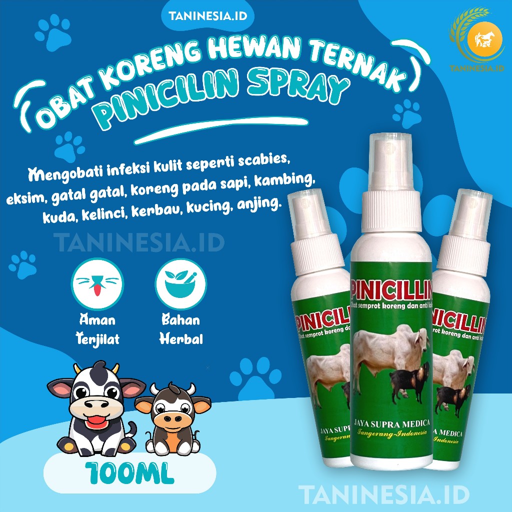 Jual PINICILIN OBAT SEMPROT KORENG SAPI MENGOBATI PMK, SCABIES, GUDIX ...