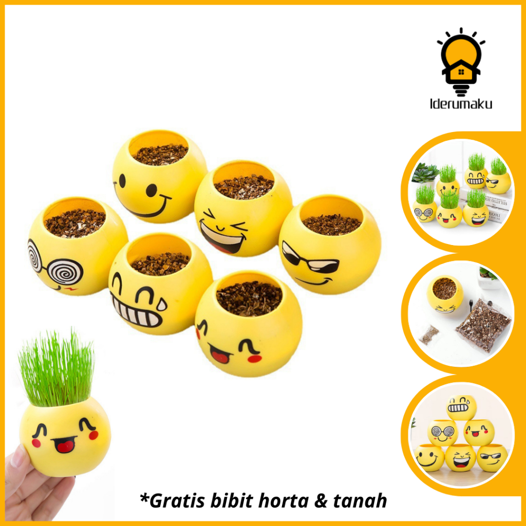 Jual Pot Bunga & Kaktus Bulat Mini Emoticon Pot Kecil Tanaman Hias ...