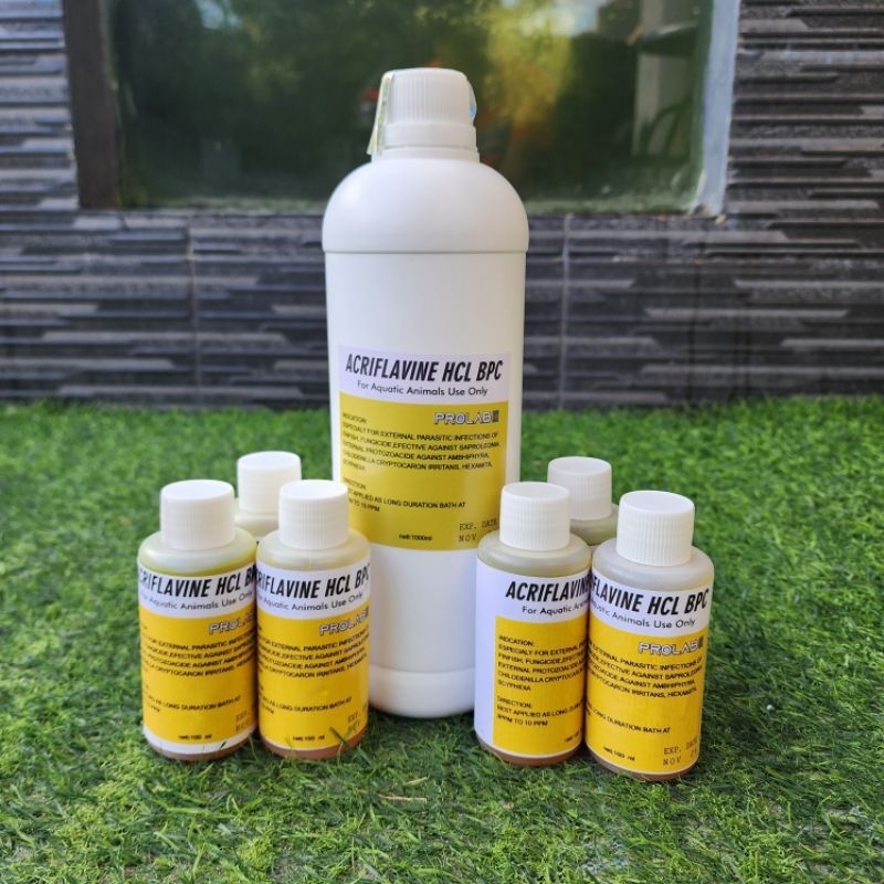 Jual Obat ikan Acriflavine HCL BPC /OBAT KUNING IKAN HIAS / OBAT LUKA ...