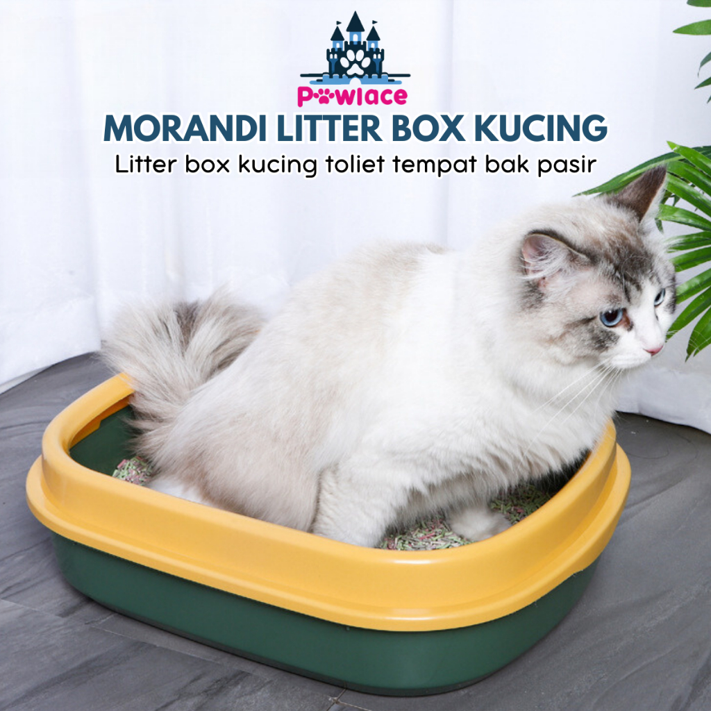 Jual Morandi Litter Box Kucing - Cat Toilet Tempat Bak Pasir Kucing ...