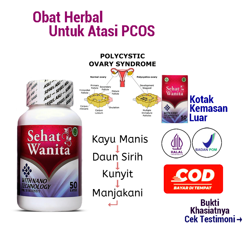 Jual Obat Pcos Herbal Gangguan Hormon Sehat Wanita Kapsul Shopee