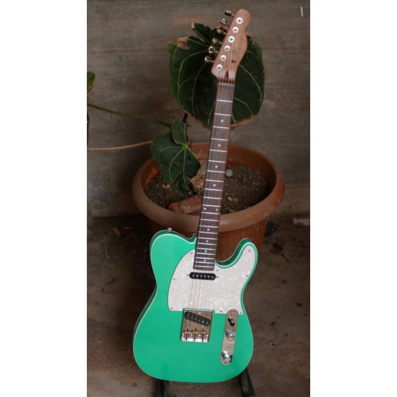 Jual BERYGUITAR Model Telecaster Green Light Colour. | Shopee Indonesia
