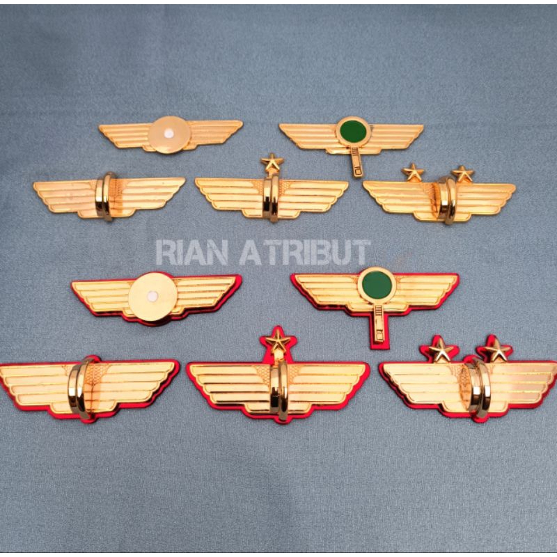 Jual WING KAI, PIN KAI , WING MASINIS , PIN MASINIS | Shopee Indonesia