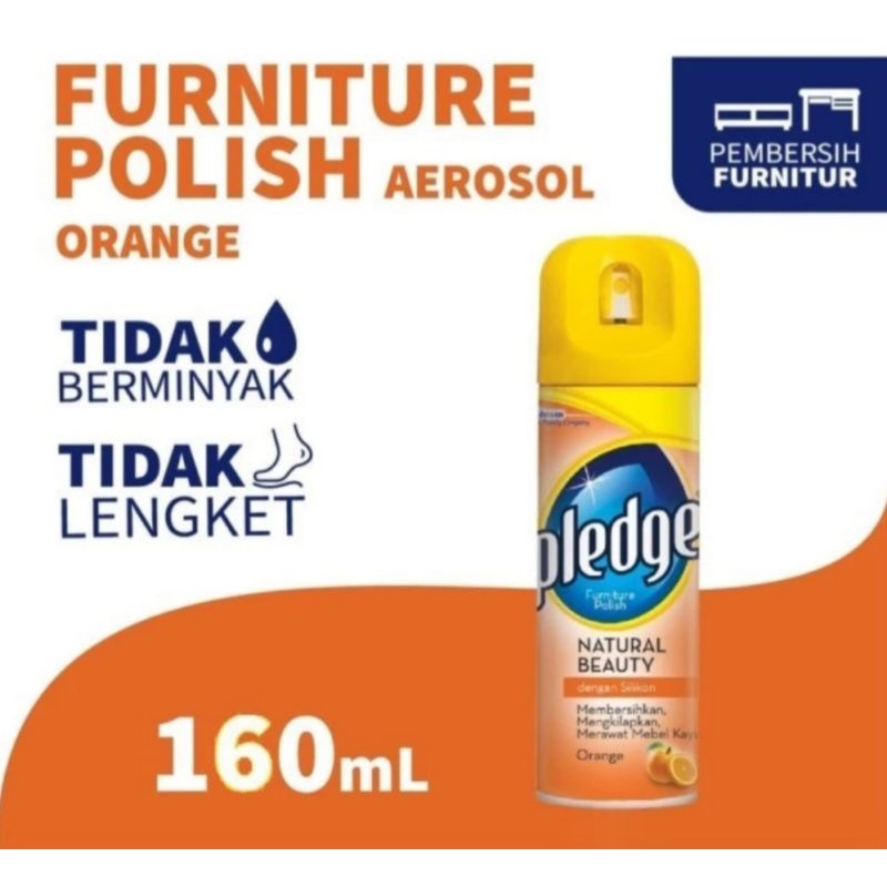 Jual Pledge Furniture Polish Aerosol Orange 160ml | Shopee Indonesia