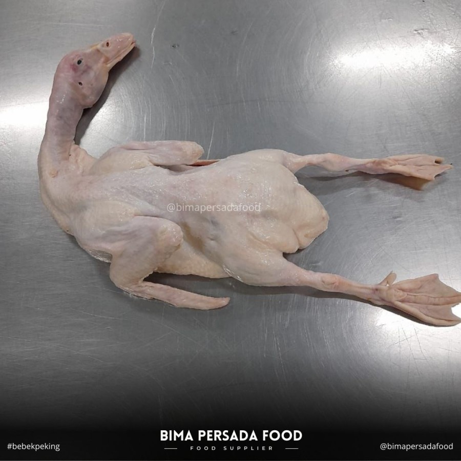 Jual Bebek Peking Hibrida 700 gram Segar Beku | Shopee Indonesia