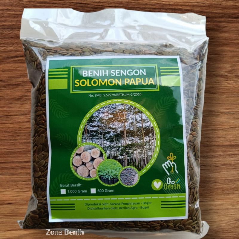 Jual Bibit SENGON SOLOMON Isi 1 Kg | Benih Sengon SOLOMON | Albasia ...