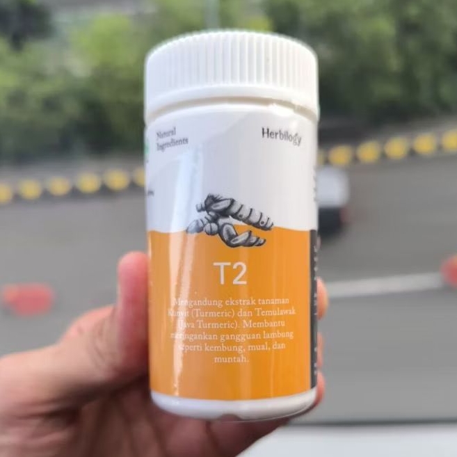 Jual T2 - Turmeric Curcumin 500mg 30 capsules by Herbilogy ( Yielding ...
