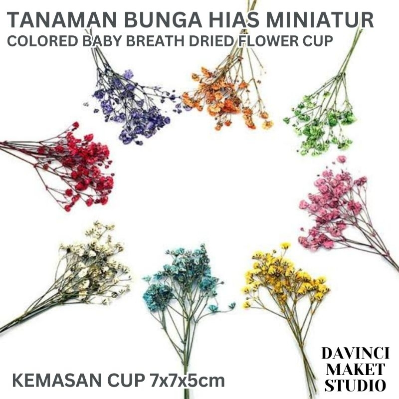 Jual Miniatur Tanaman Bunga Kering BabyBreath Maket Diorama - Dried ...