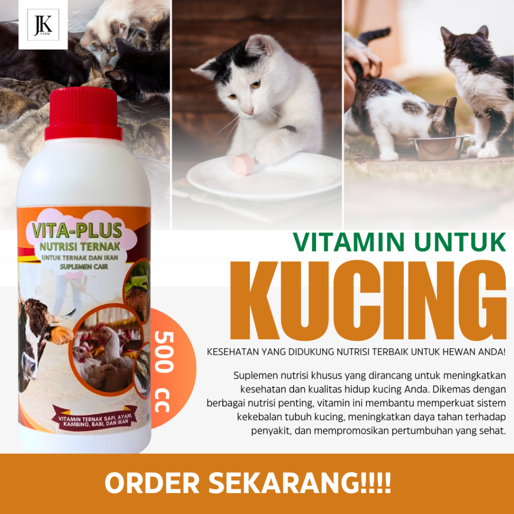 Jual Vitamin Kucing Nafsu Makan, Vitamin Kucing Kotoran Tidak Bau VITA ...