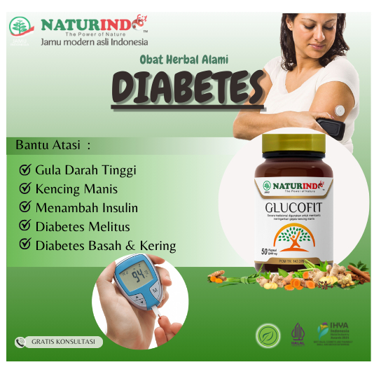 Jual Obat diabetes kencing manis gula darah tinggi komplikasi diabetes ...