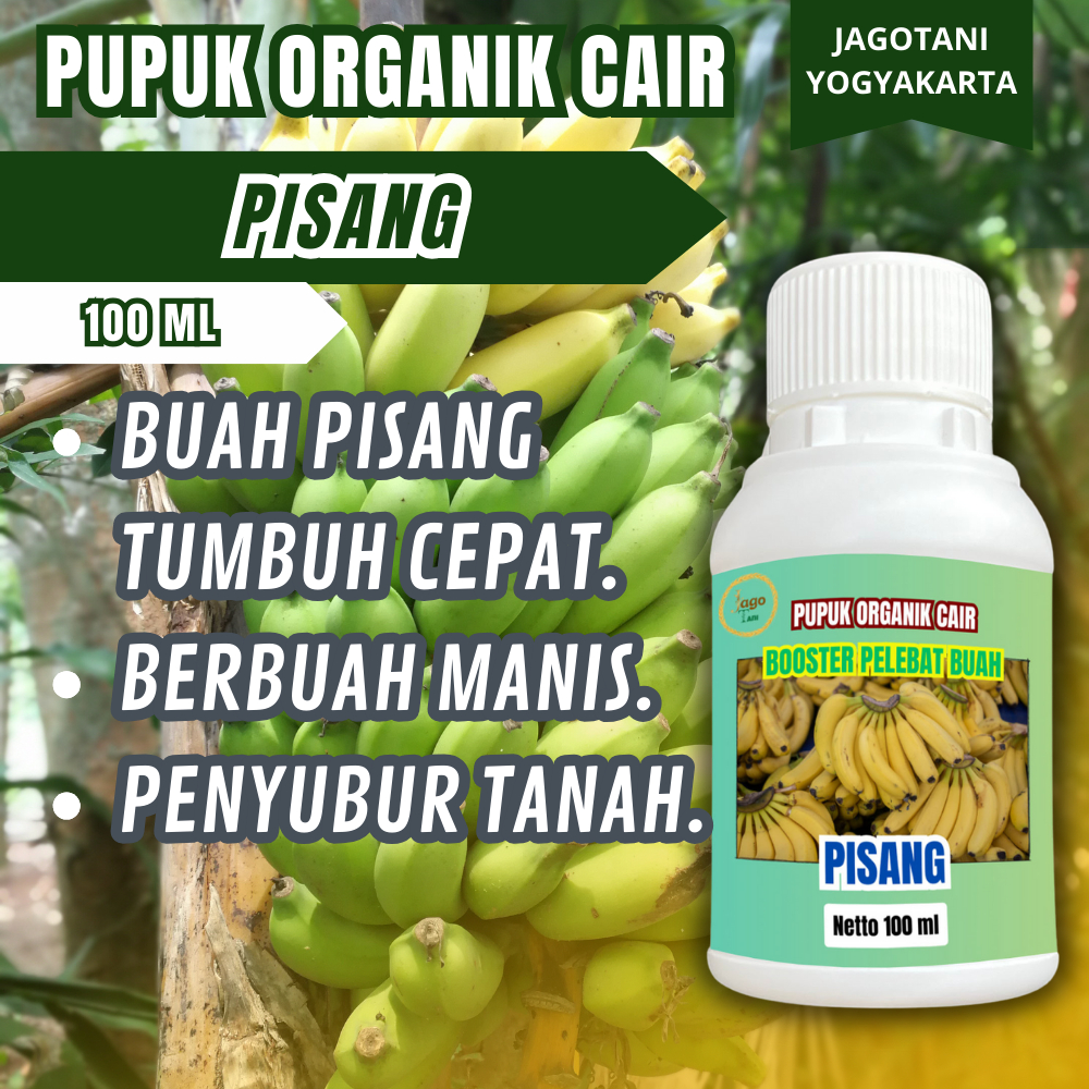 Jual Pupuk Organik Cair Pisang 100 Ml Booster Agar Cepat Berbuah Dan Tumbuh Subur By Jagotani ...