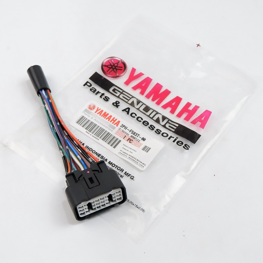 Jual Socket ECU 2PH Yamaha Mio M3 / S / Z / X-Ride / Fino FI | Shopee ...