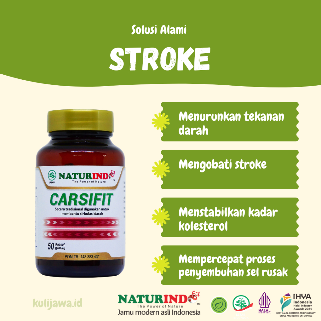 Jual Obat Stroke Struk Ringan Lumpuh Sebelah Bells Palsy Pelancar Darah ...