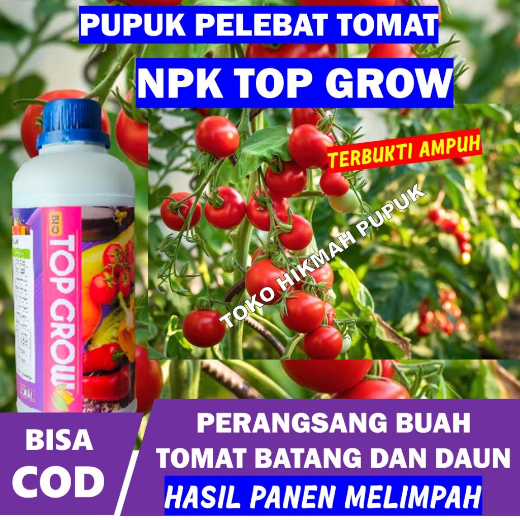Jual PROMO Pupuk NPK PEMBESAR BUAH TOMAT- TOP GROW 500 ML Merimbunkan Buah Tomat Obat Semprot ...
