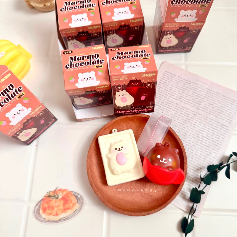 Jual READY STOCK marmo chocolate blind box squishy by Ibloom Japan ...