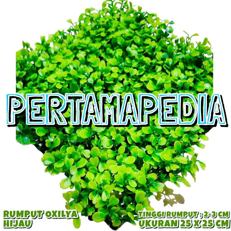 Jual HARGA SATUAN RUMPUT OXILYA HIJAU UKURAN 25x25 CM/ Rumput Dasar ...