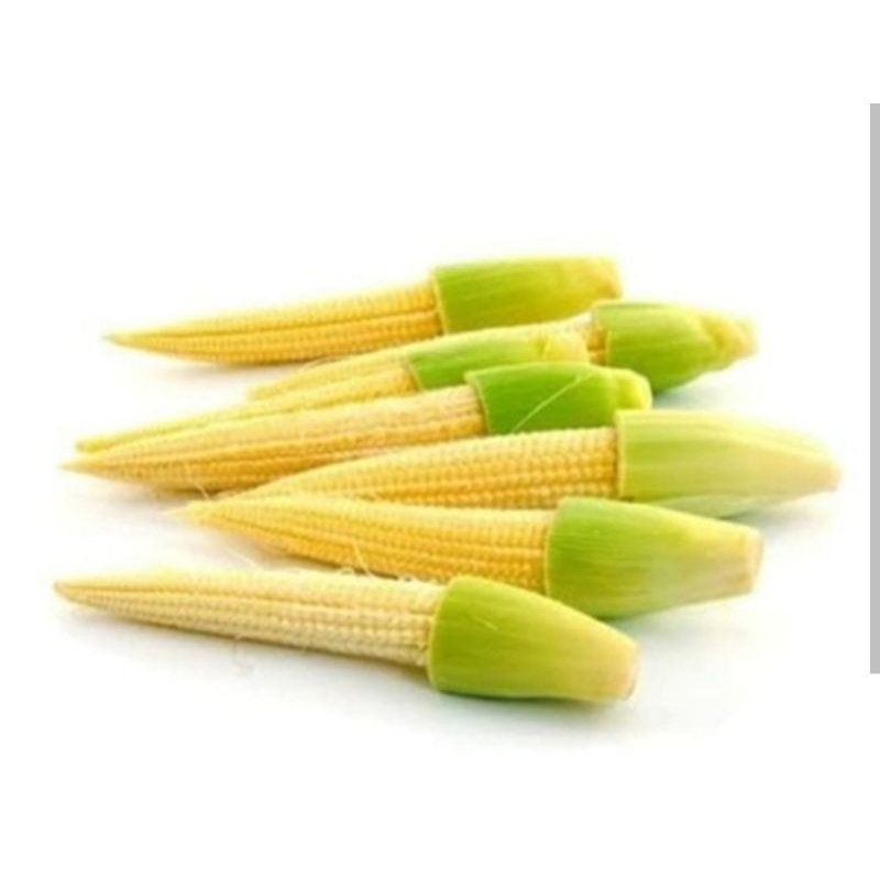 Jual Jagung Muda /Putren (250 gram) | Shopee Indonesia
