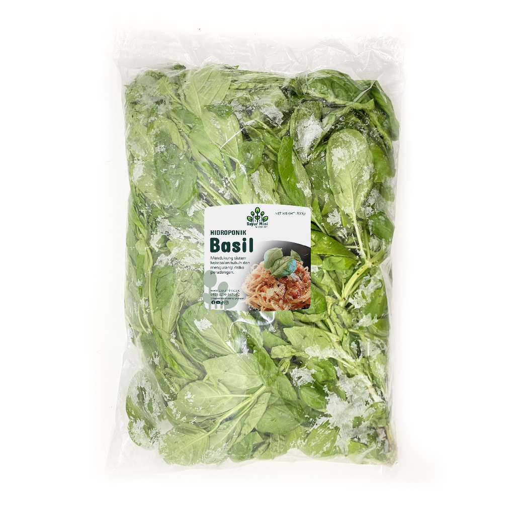 Jual SAYUR MINI Hidroponik Basil 500gr - Fresh Cut - Hydroponics ...
