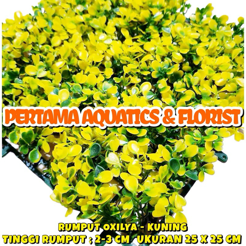 Jual RUMPUT OXILYA WARNA Ukuran 25X25 Cm/ Rumput Artificial/ Daun ...