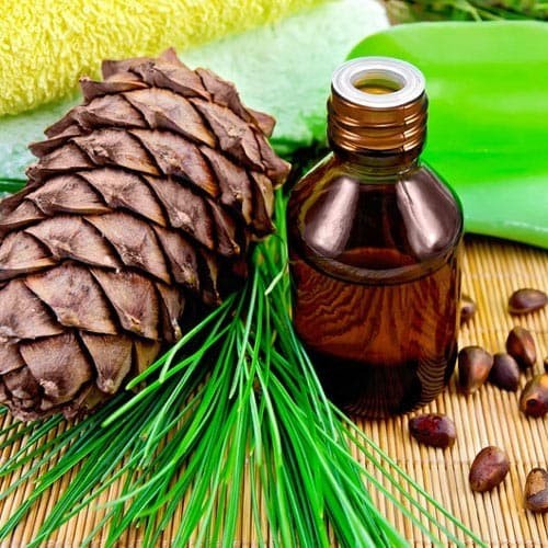 Jual Pine Oil / Minyak Pinus 100 MURNI | Shopee Indonesia