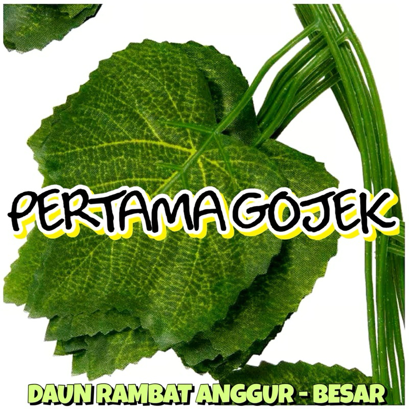 Jual HARGA SATUAN RAMBAT BESAR 1 M ATAU 2 M (LEBAR DAUN 7-7.5 CM)/ Daun ...