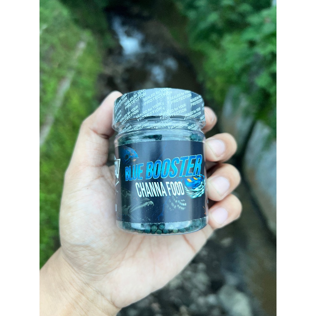 Jual PELET CHANNA BLUE BOOSTER by BOS BOS QU (PIGMEN BIRU) | Shopee ...
