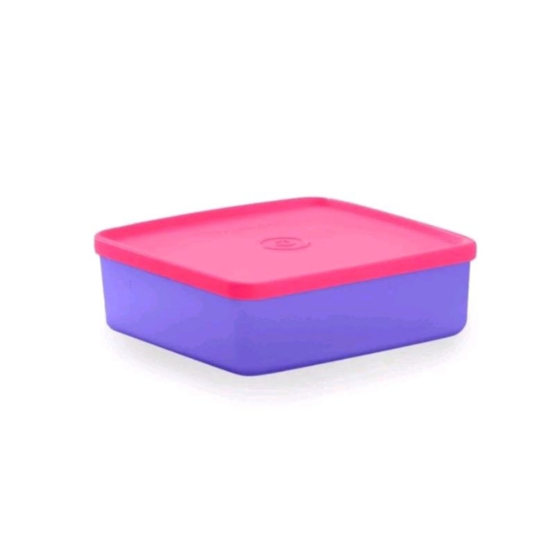 Jual Tupperware Wadah petak / Squate Away 360ml | Shopee Indonesia
