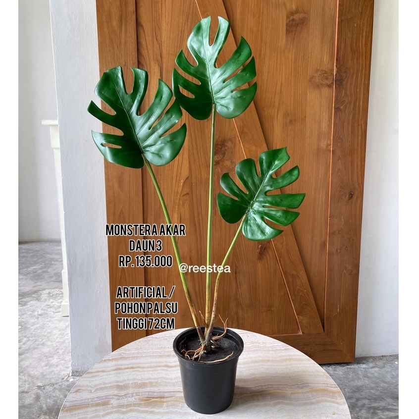 Jual Pohon akar Monstera Daun 3/Pohon Articial/Pohon hias palsu / Pohon ...