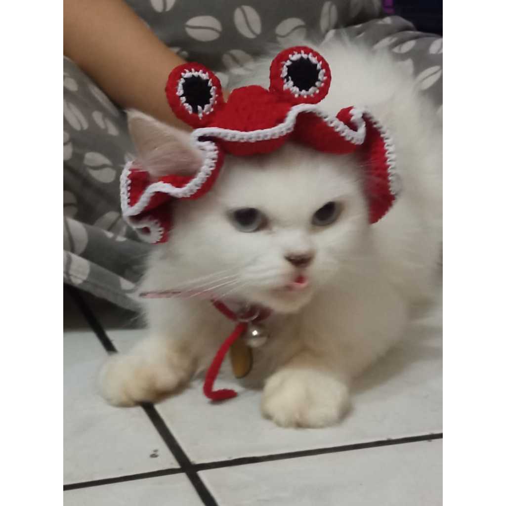 Jual Topi Rajut Lucu Untuk Kucing (Handmade) | Shopee Indonesia