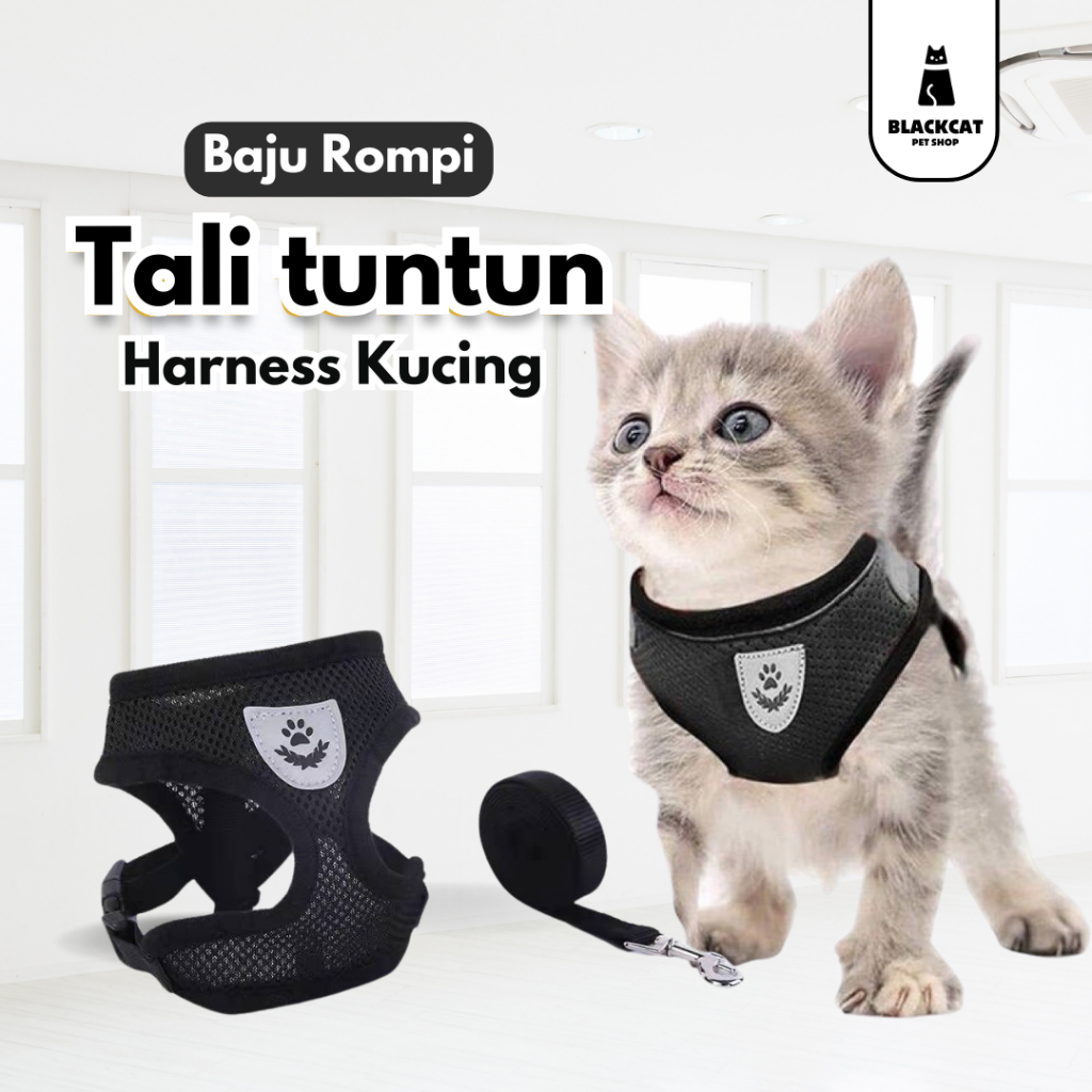Jual BLACKCAT Tali Harness Kucing Anjing Rompi Tali Anjing Harness Cat ...