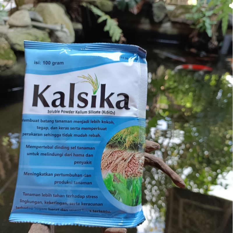 Jual kalium silika kalsika soluble powder | Shopee Indonesia