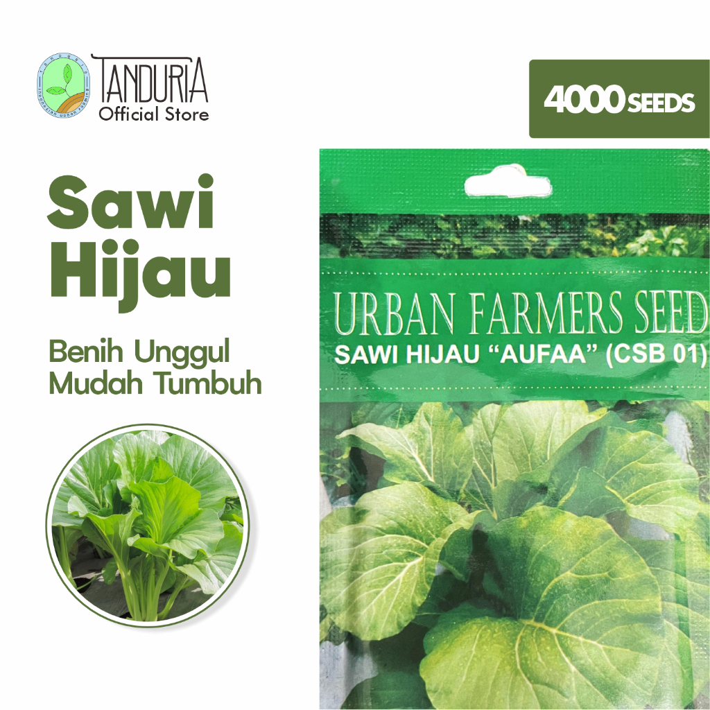 Jual TANDURIA - Benih Sayur Sawi Hijau by Urban Farmers Seed Bibit Biji ...