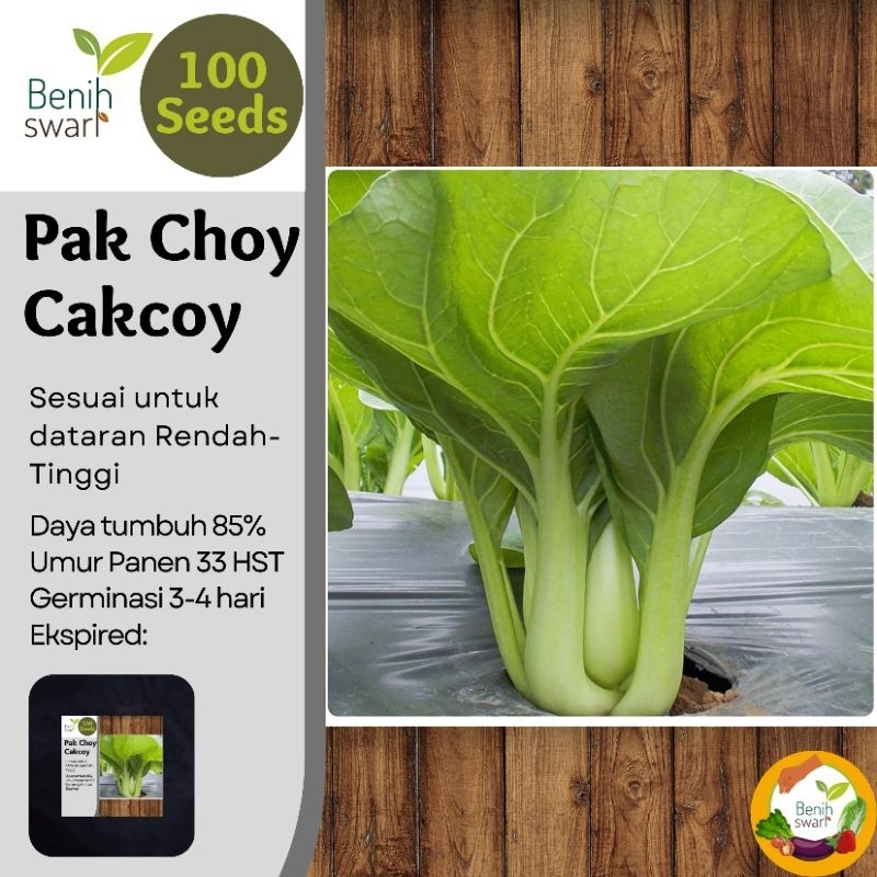 Jual Benih Swari: (isi 100 butir) Benih Pak Choy Batang Hijau Cakcoy ...