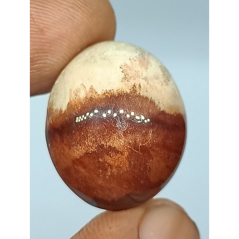 Jual Batu Posil Galih Kelor Merah | Shopee Indonesia