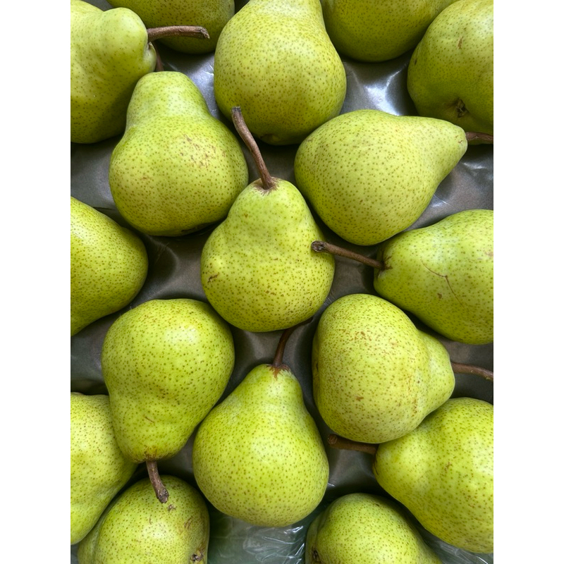 Jual Pear Packham | Pear Packham Afrika | Pear Hijau | Shopee Indonesia