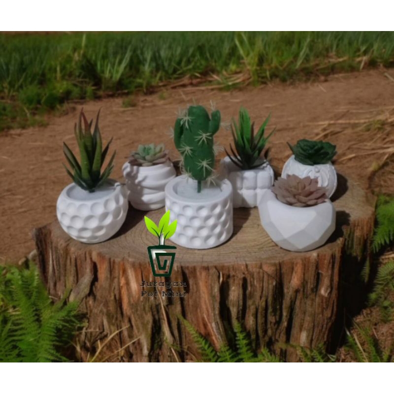 Jual pot mini/pot sukulen/pot unik/pot kaktus/pot tanaman/pot kaktus ...