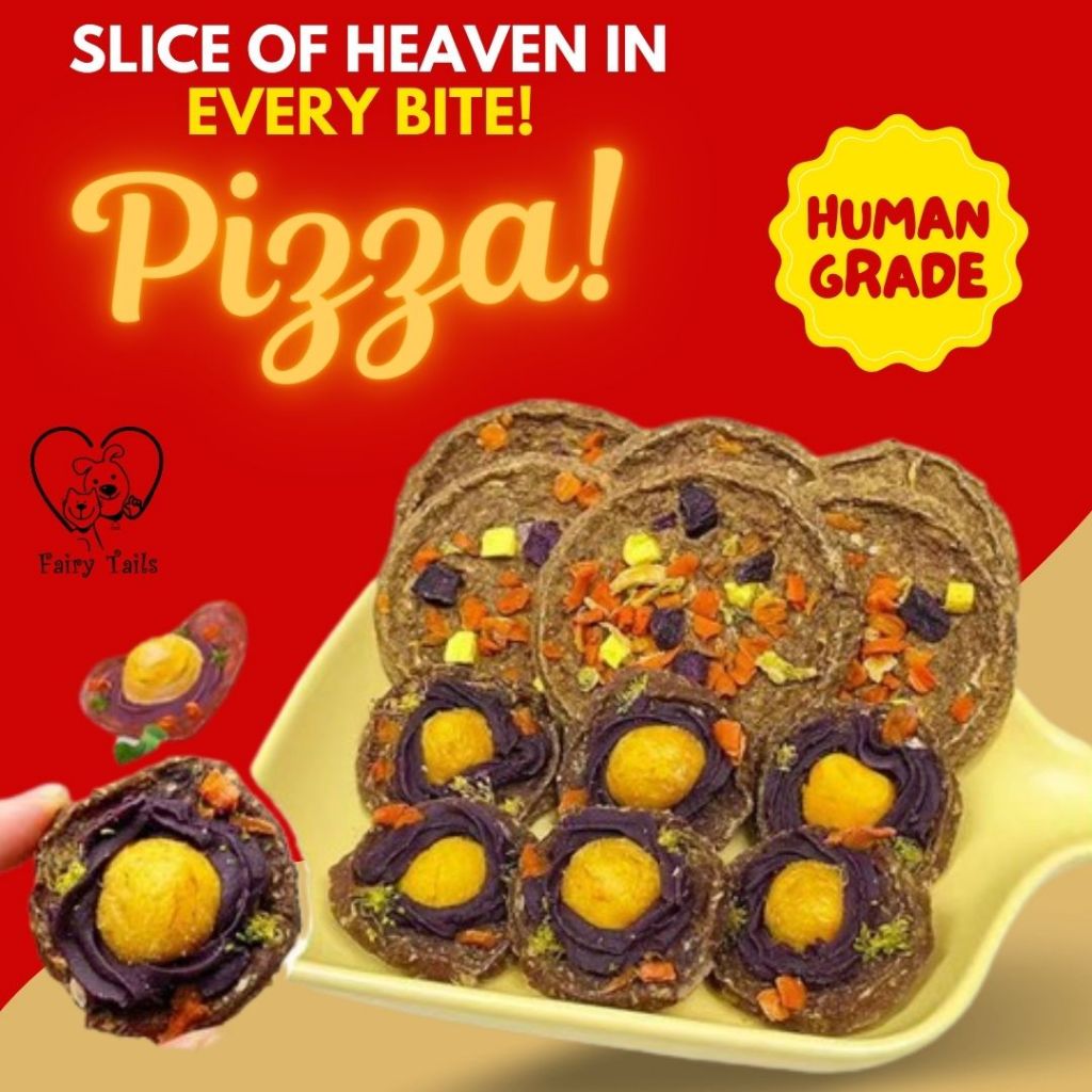 Jual [HANDMADE] Snack Makanan Anjing Pizza Daging Dan Sayur Cemilan ...
